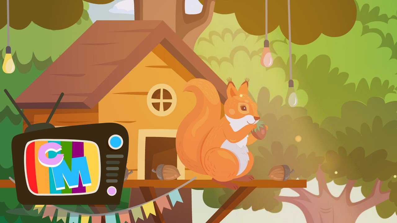 Veverita Rita 🐿️🌰 - Clopotelul Magic - cantece pentru copii 🎶 - YouTube