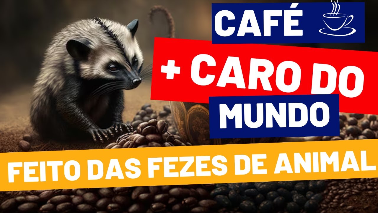 Café mais caro do MUNDO | Feito das FEZES de animal - YouTube
