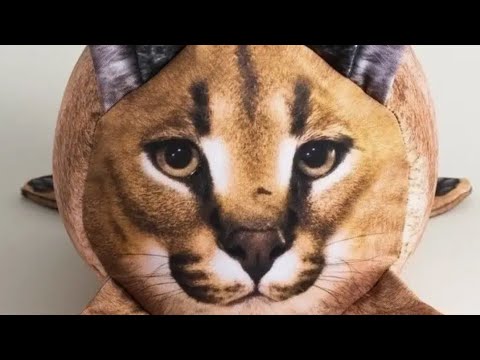 обзор на шлёпу от @bloptop - YouTube