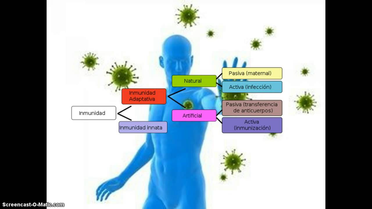 inmunidad - YouTube