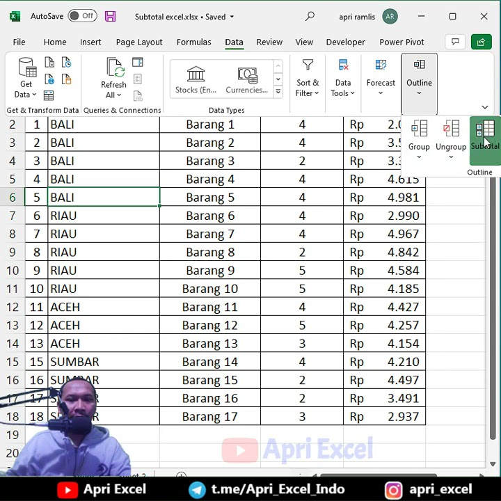 cara menggunakan menu subtotal pada excel - YouTube