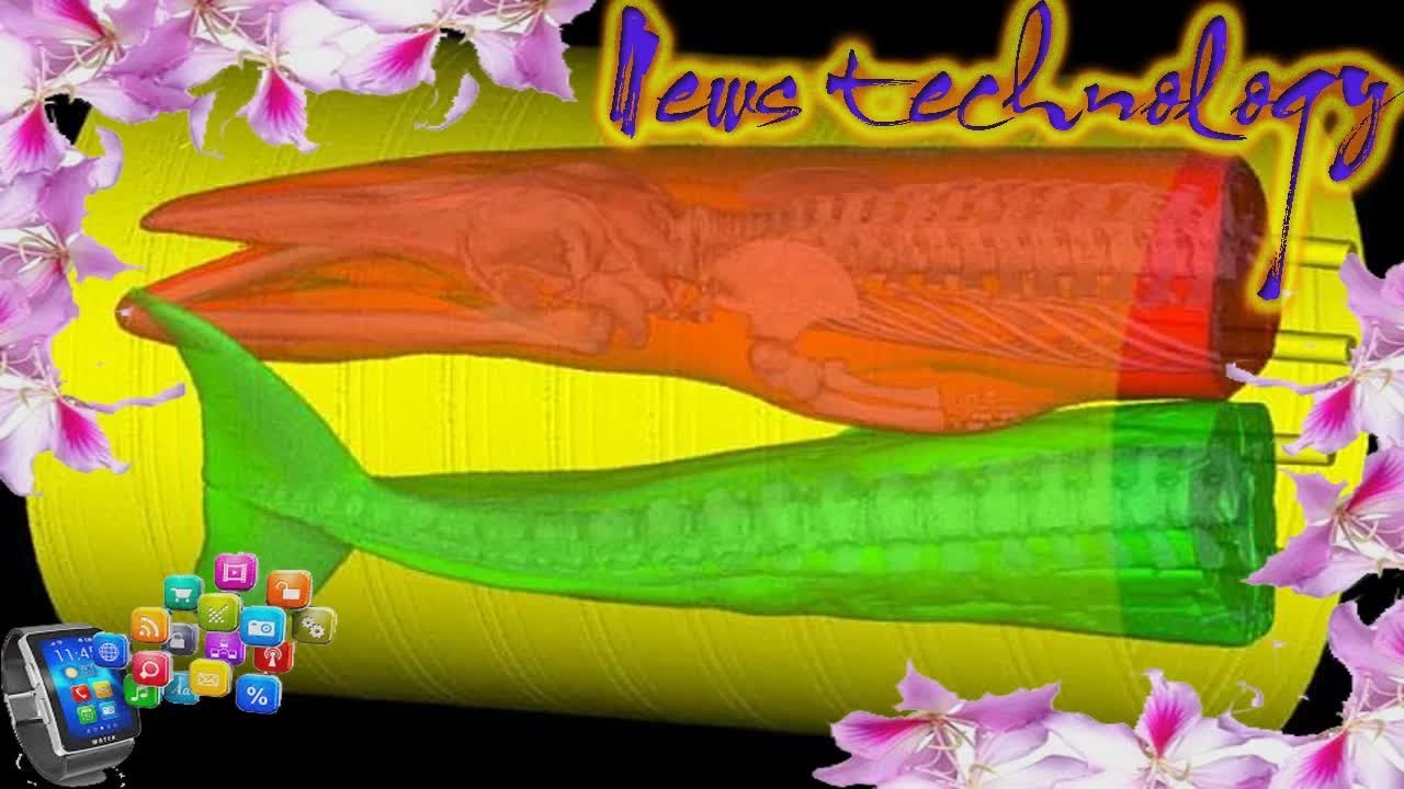 Scientists use CT scanner designed for rocket motors to image a WHALE ...