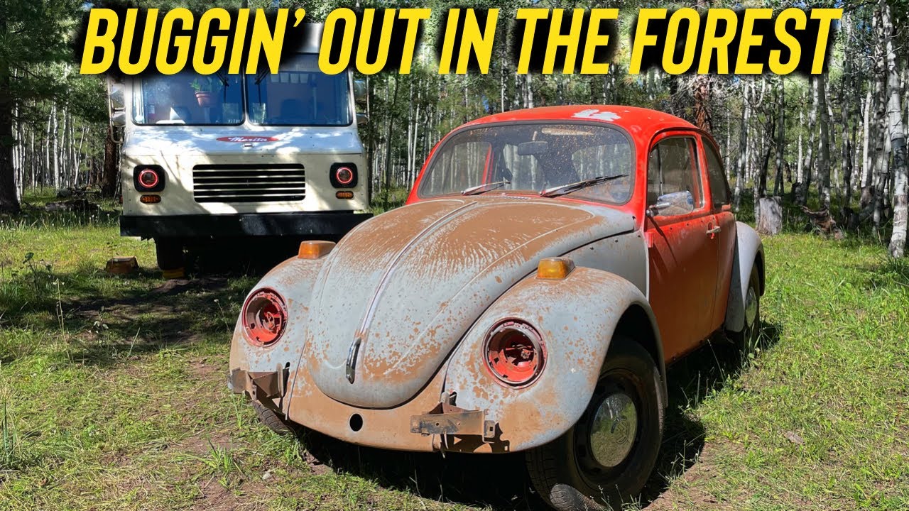 VW Bug Project Rescue! Getting it Running and Driving in the Forest ...