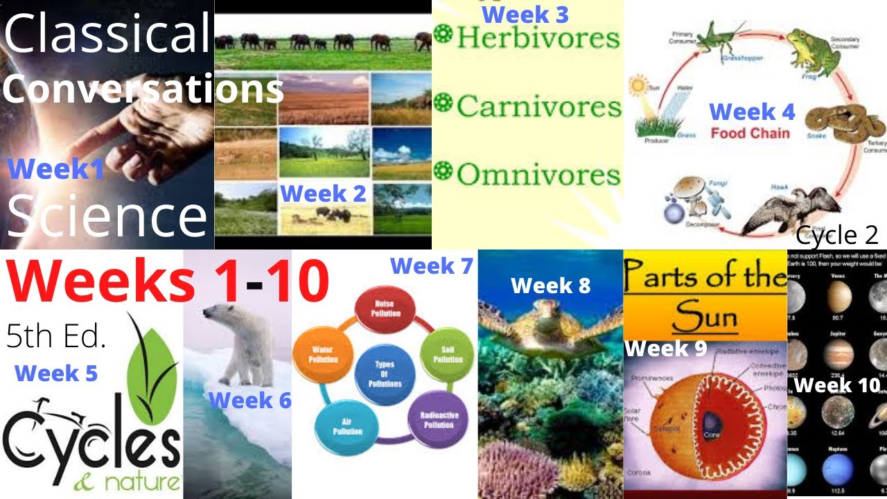 C. C. Cycle 2 Science Weeks 1-10 (A) - YouTube