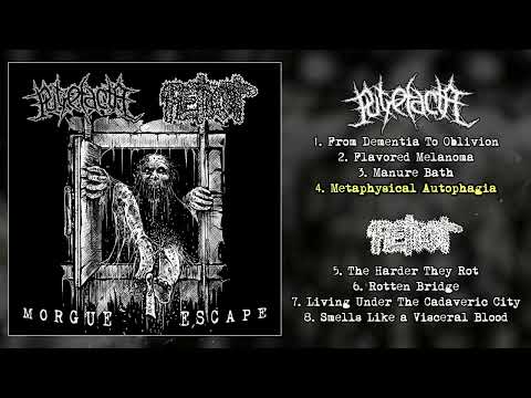 Putrefacta / Petiot - Morgue Escape split FULL ALBUM (2023 - Goregrind)