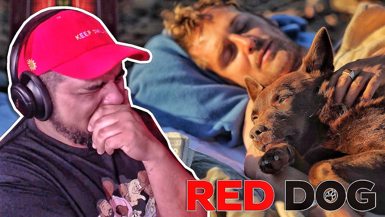 😭*THE SADDEST REAL LIFE DOG STORY*😭 Red Dog (2011) *FIRST TIME WATCHING ...