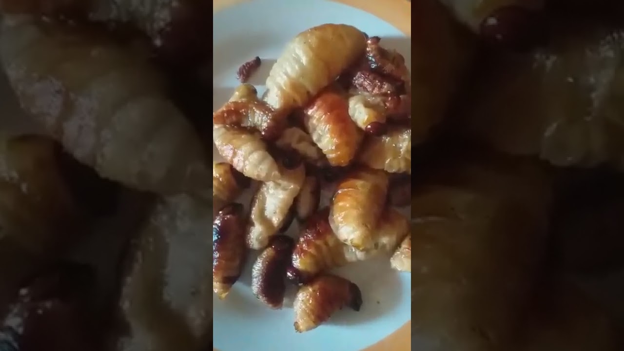 #abatod #batod #coconutworm - YouTube