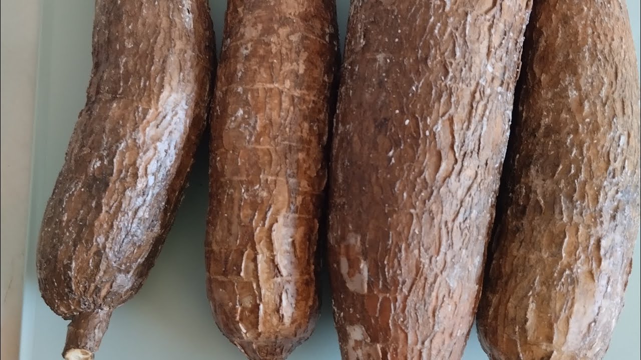 tutorial on how to get fried garri, yuca, cassava plant - YouTube