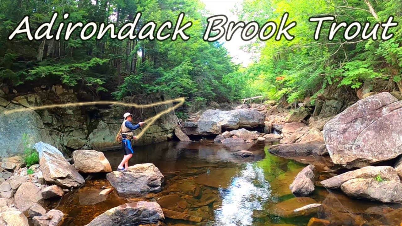 NO CELL SERVICE | Adirondack Backwoods Brook Trout Fishing - YouTube