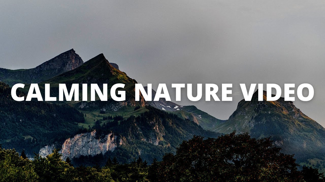Unwind with Stunning Nature Visuals and Music - YouTube