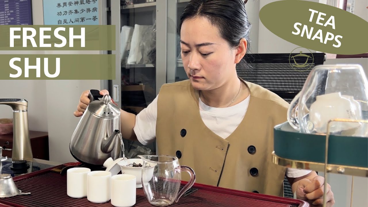 TEA SNAP: Fresh Shu - YouTube