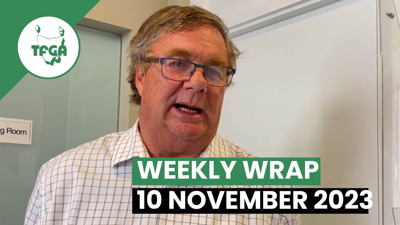 TFGA Weekly Wrap - 10 November 2023 - YouTube
