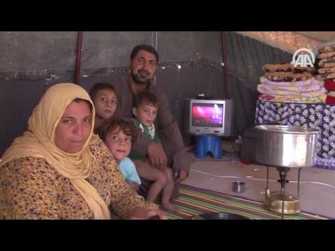 Halep'ten \