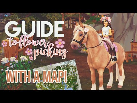 「SSO」a GUIDE for finding flowers! (Farah's workshop) - YouTube