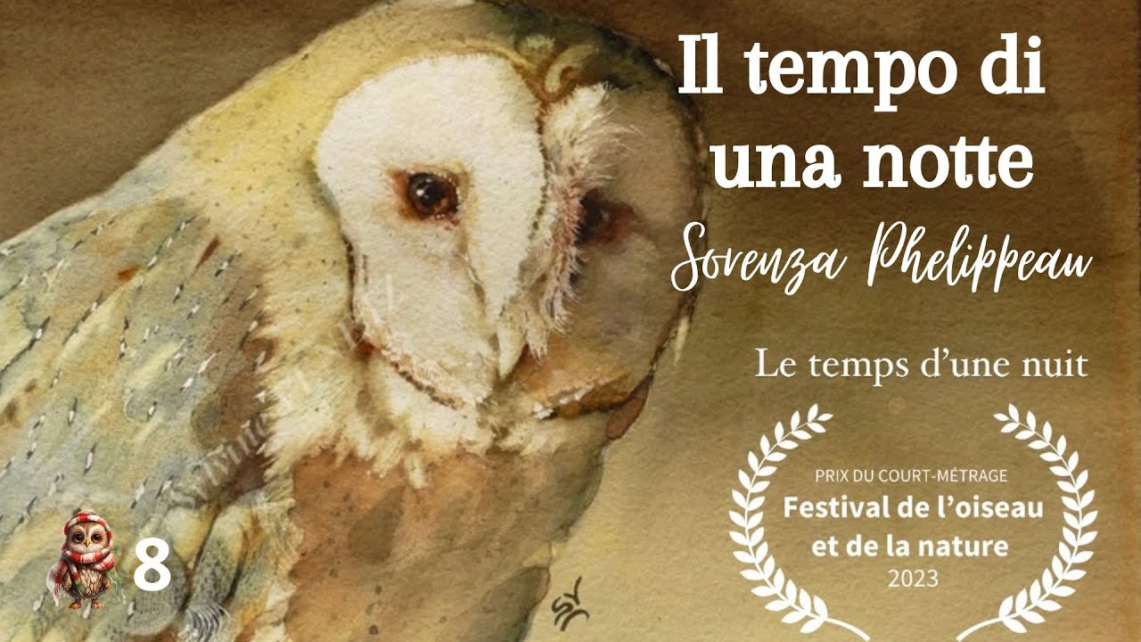 Il barbagianni: il tempo di una notte di Sorenza Phelippeau - Barn Owl ...