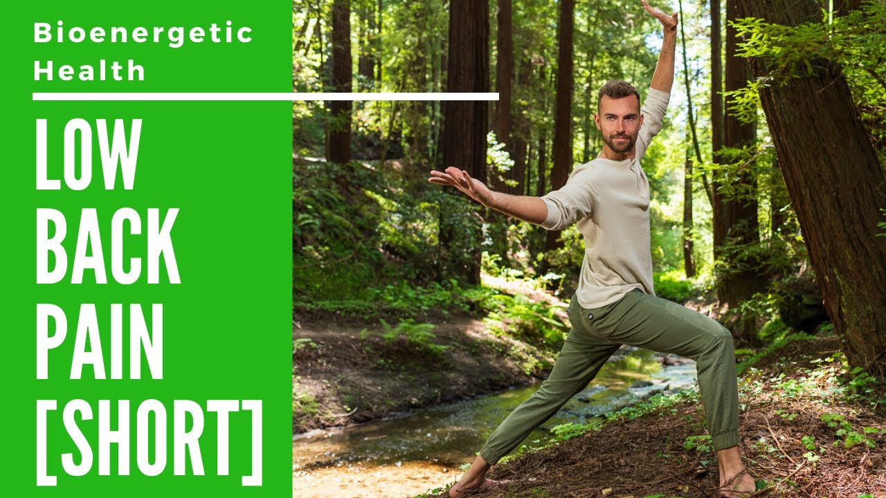 SHORT - Qigong for Low Back Pain - Traditional Chinese Medicine ...