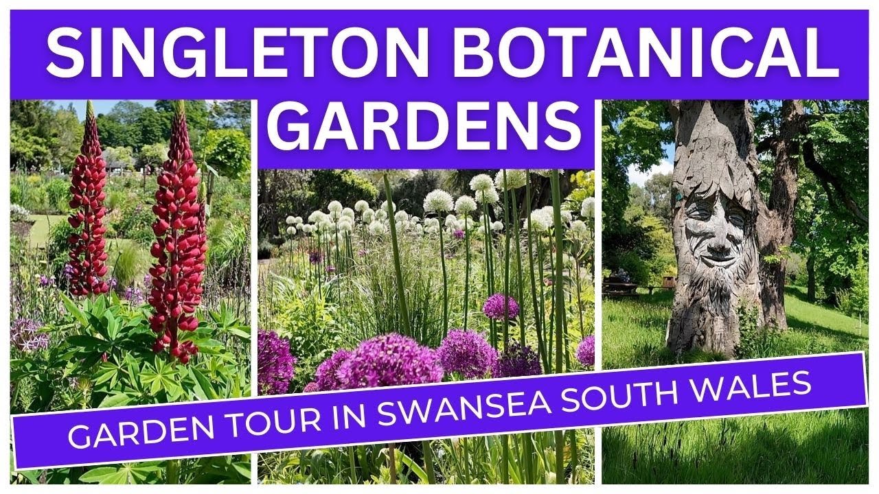 Swansea Singleton Botanical Gardens Tour - Gardens in Wales - YouTube