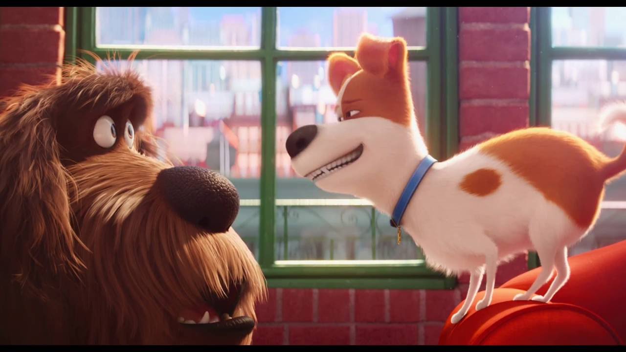 PETS - Max Tries To Frame Duke - YouTube