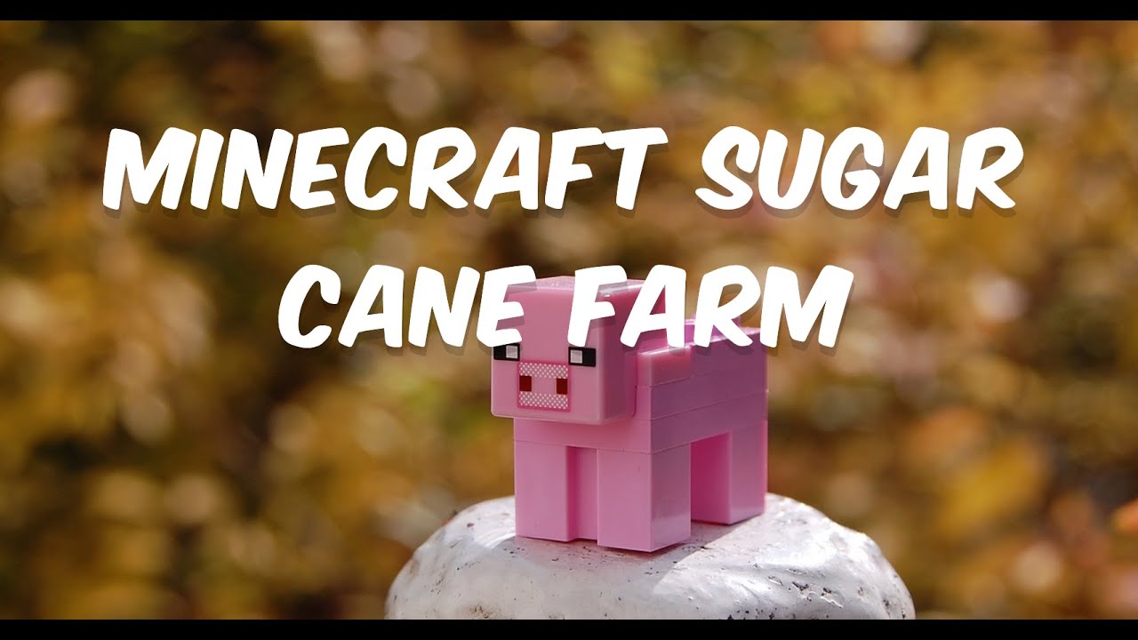 How to make an easy sugar cane farm in minecraft - YouTube