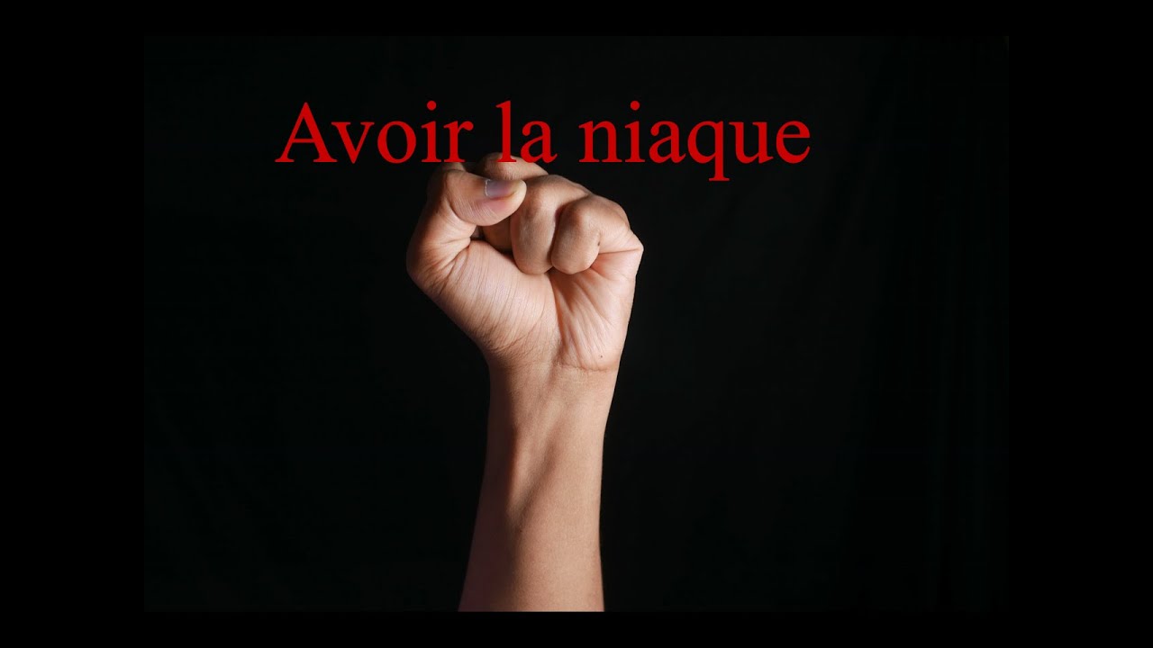 L'art d'avoir la niaque - YouTube