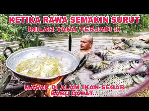 KETIKA RAWA SEMAKIN SURUT INILAH YANG TERJADI !!! MASAK IKAN SEGAR DI ALAM BEBAS SUPER PEDAS