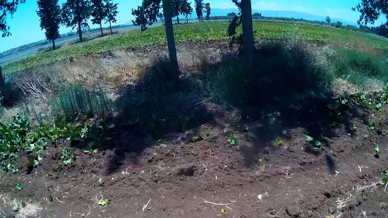 FPV Freestyle Kfar bialik israel - YouTube
