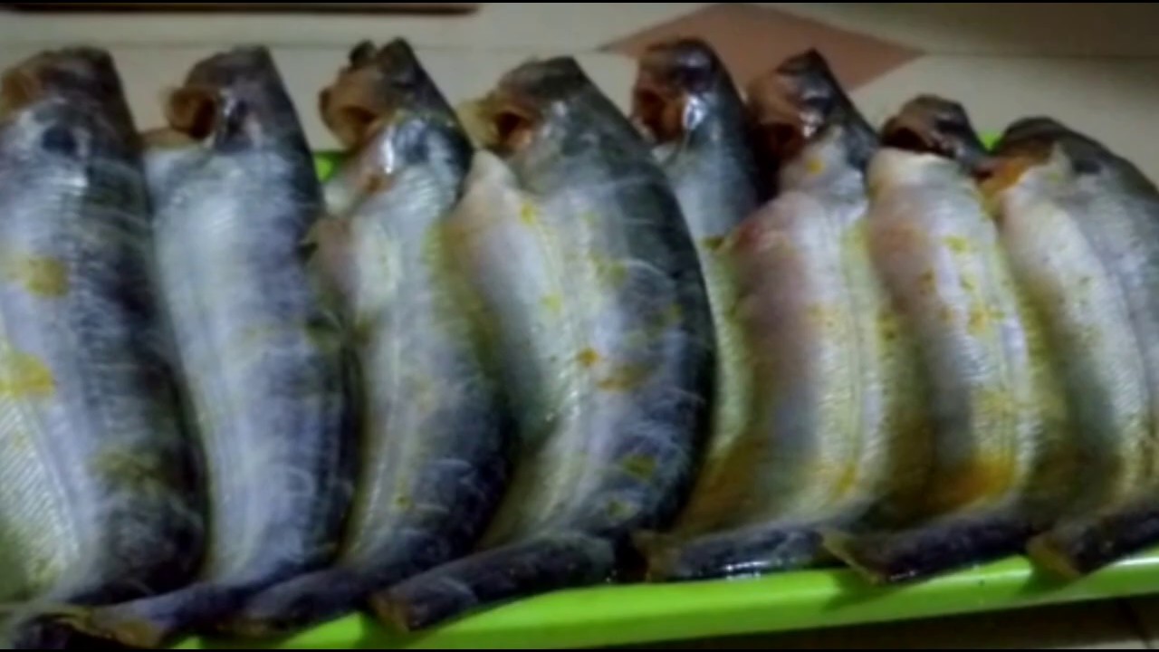 how to cook Pabda Fish - YouTube