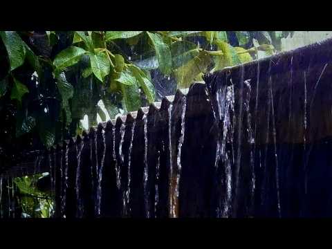 "Heavy Rain That Heals | Relaxation Therapy & Natural Remedy for a Good ...
