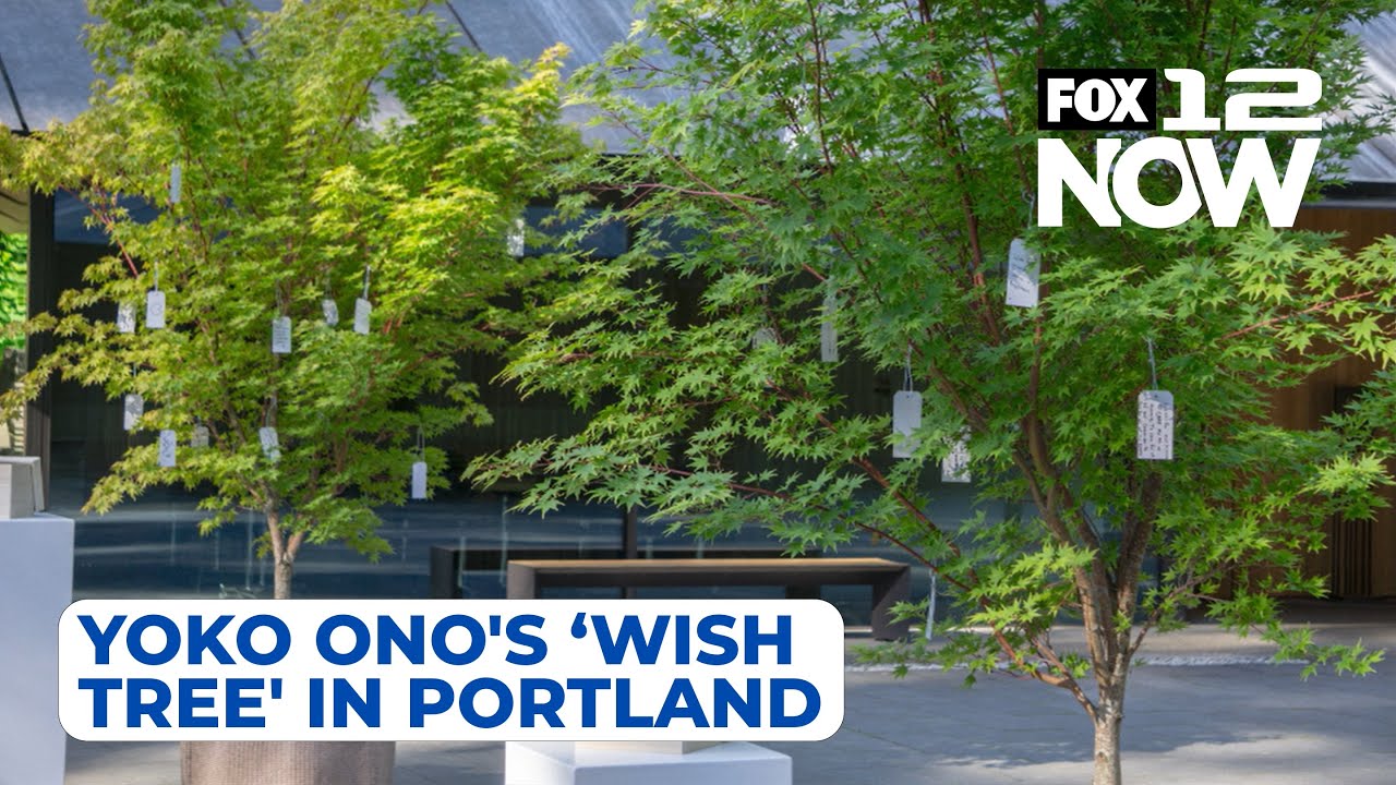 LIVE: Yoko Ono's 'Wish Tree' comes to the Portland Japanese Garden ...