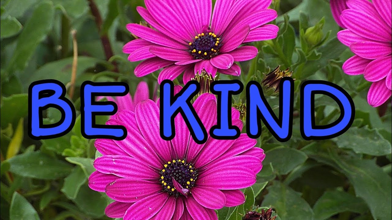 Marshmellow, Halsey - Be Kind (Lyrics) - YouTube