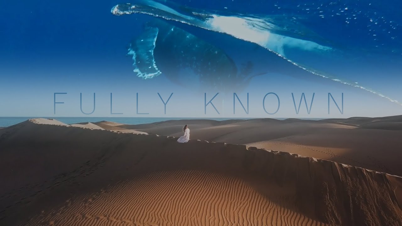 Fully Known (Visualizer Video) - Chris Coleman | A s h R a w A r t ...