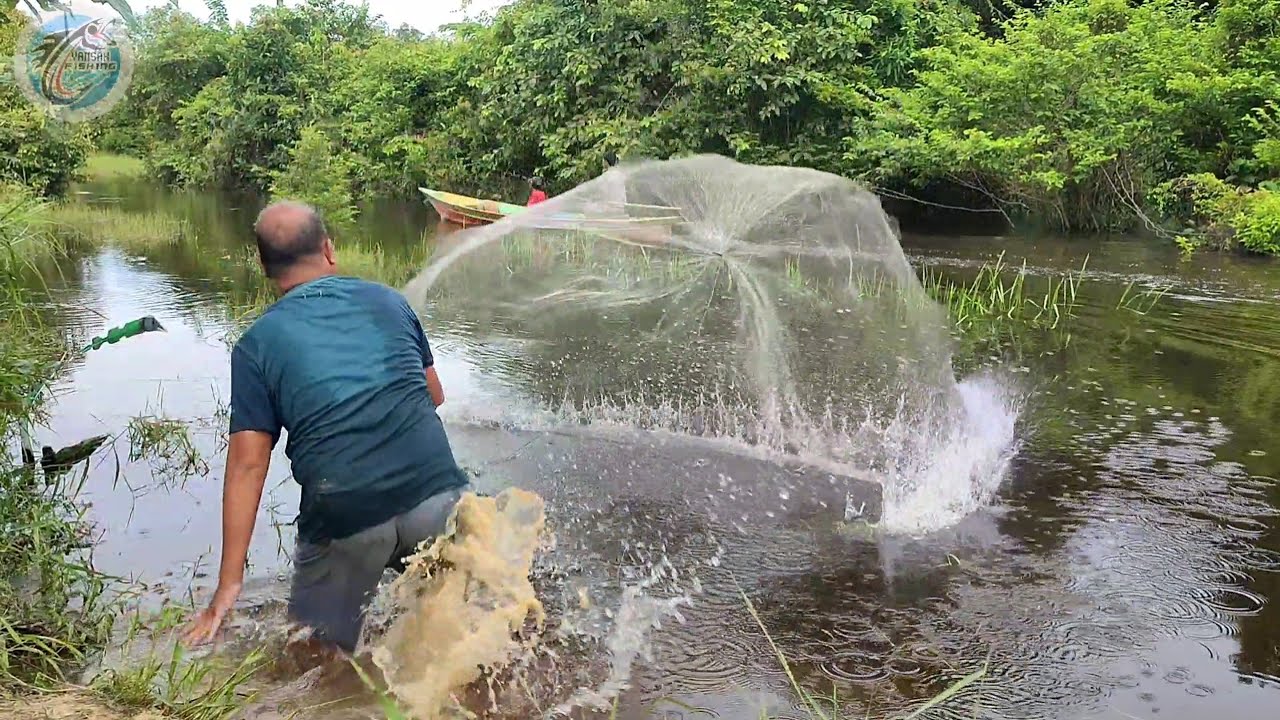 MENJALA IKAN SAPIL SEHABIS BANJIR - YouTube