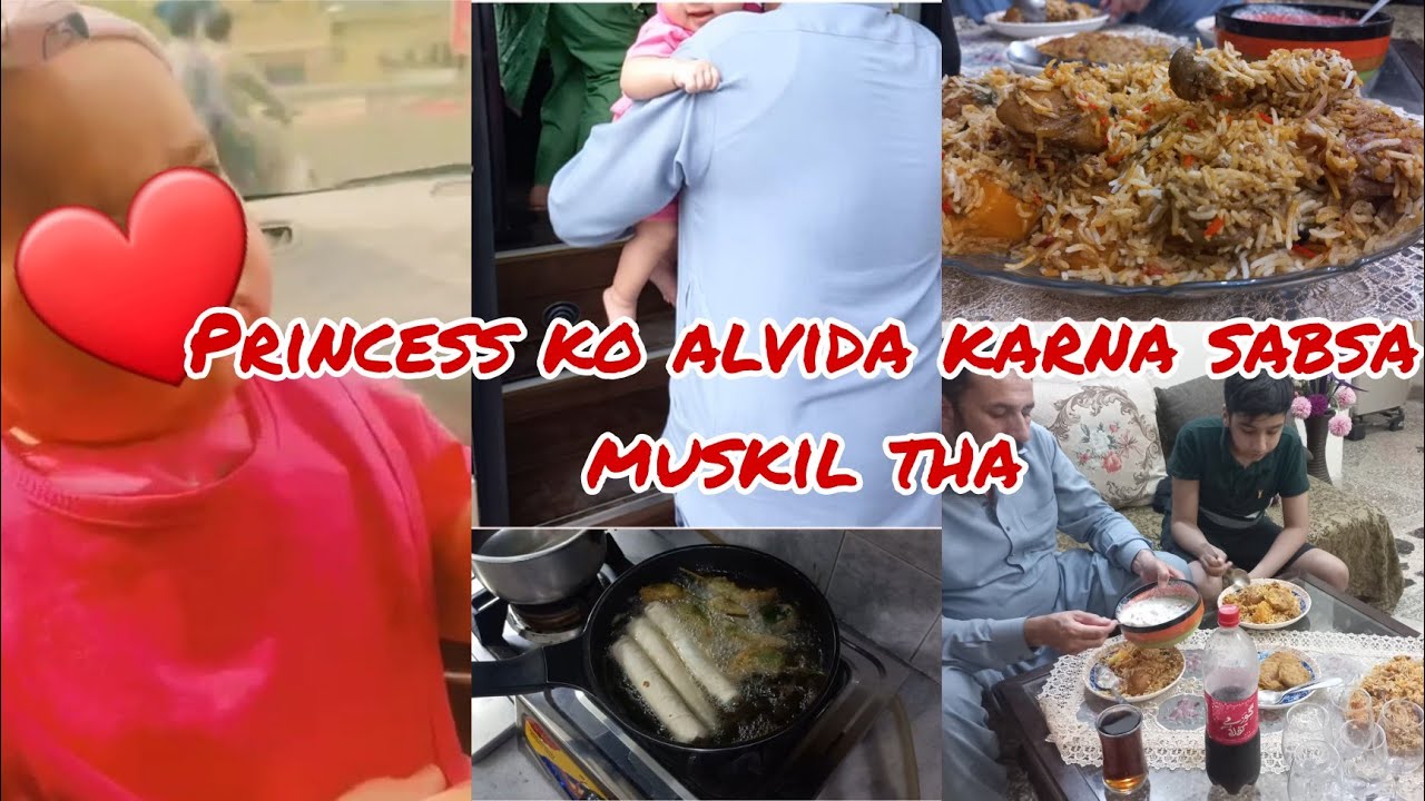 Princess ko alvida karna sabsa muskil tha || chicken tikka biryani ...