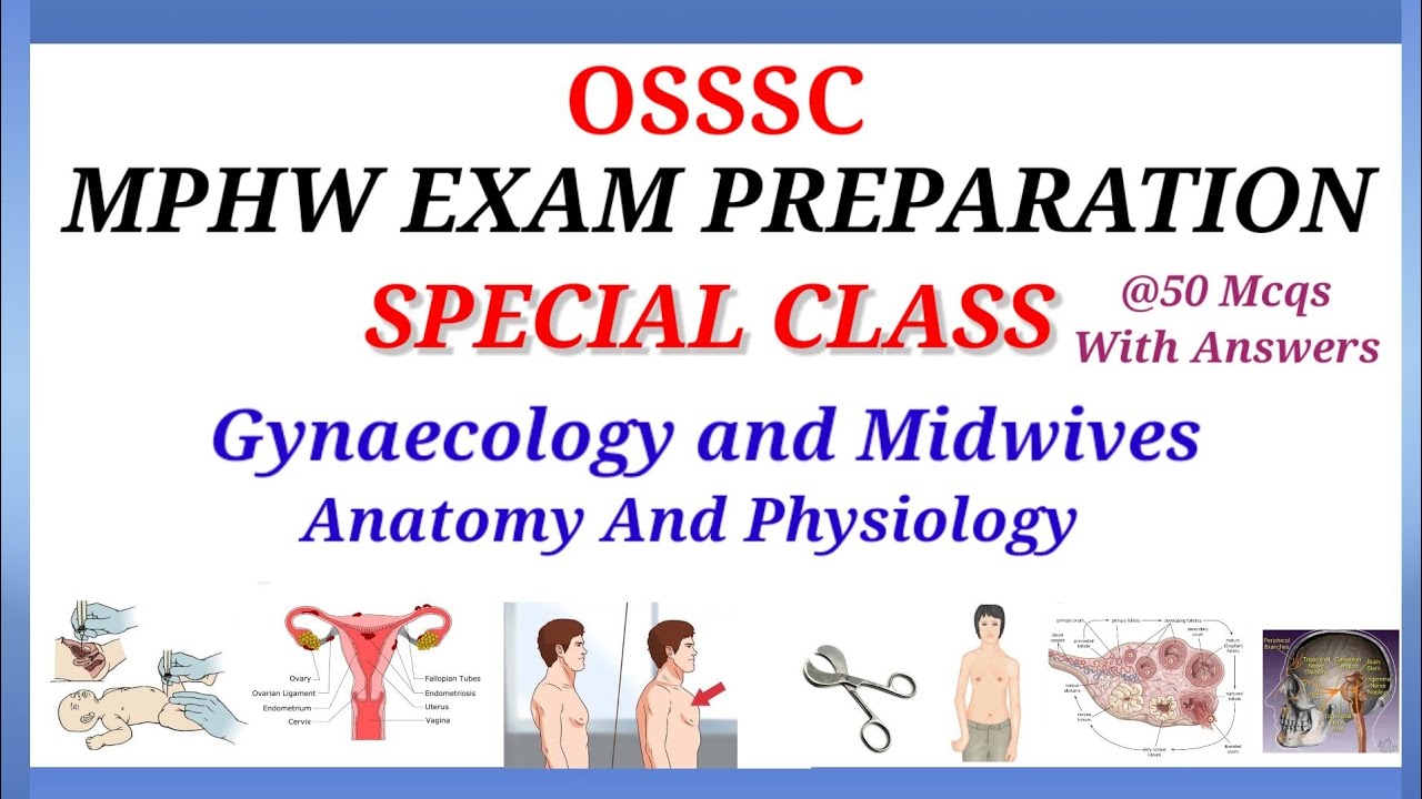 Mphw Exam Preparation/Gynecology and Midwives/Anatomy and Physiology ...