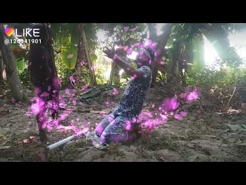 Heart💜❤💓 broken💔💔💔