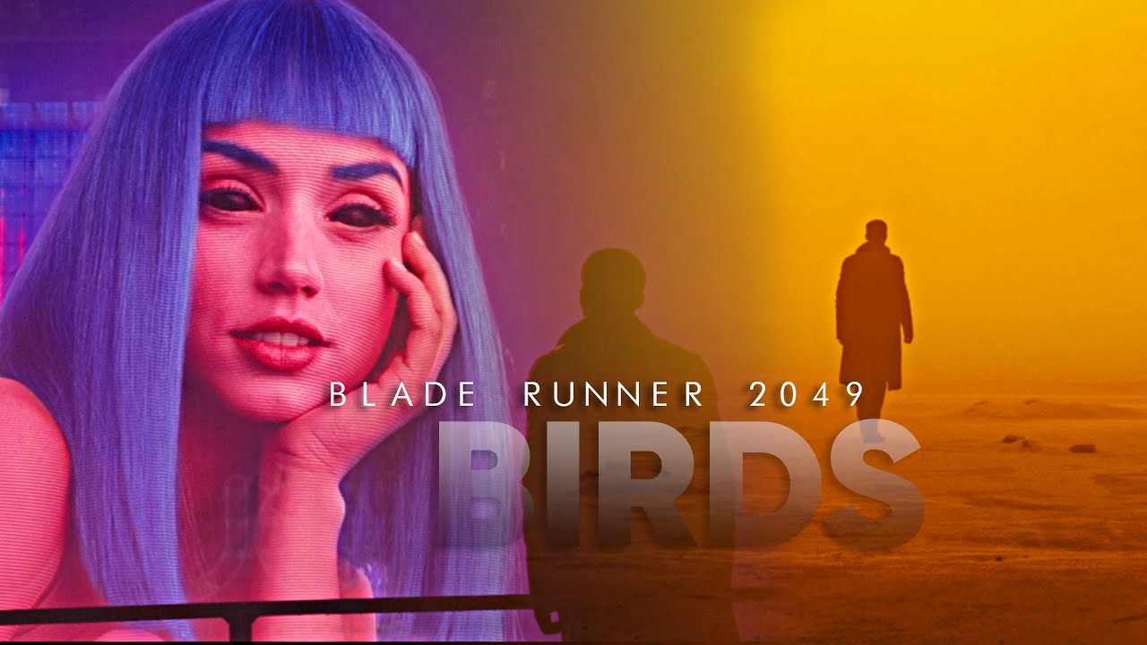 Blade Runner 2049 | Birds - YouTube