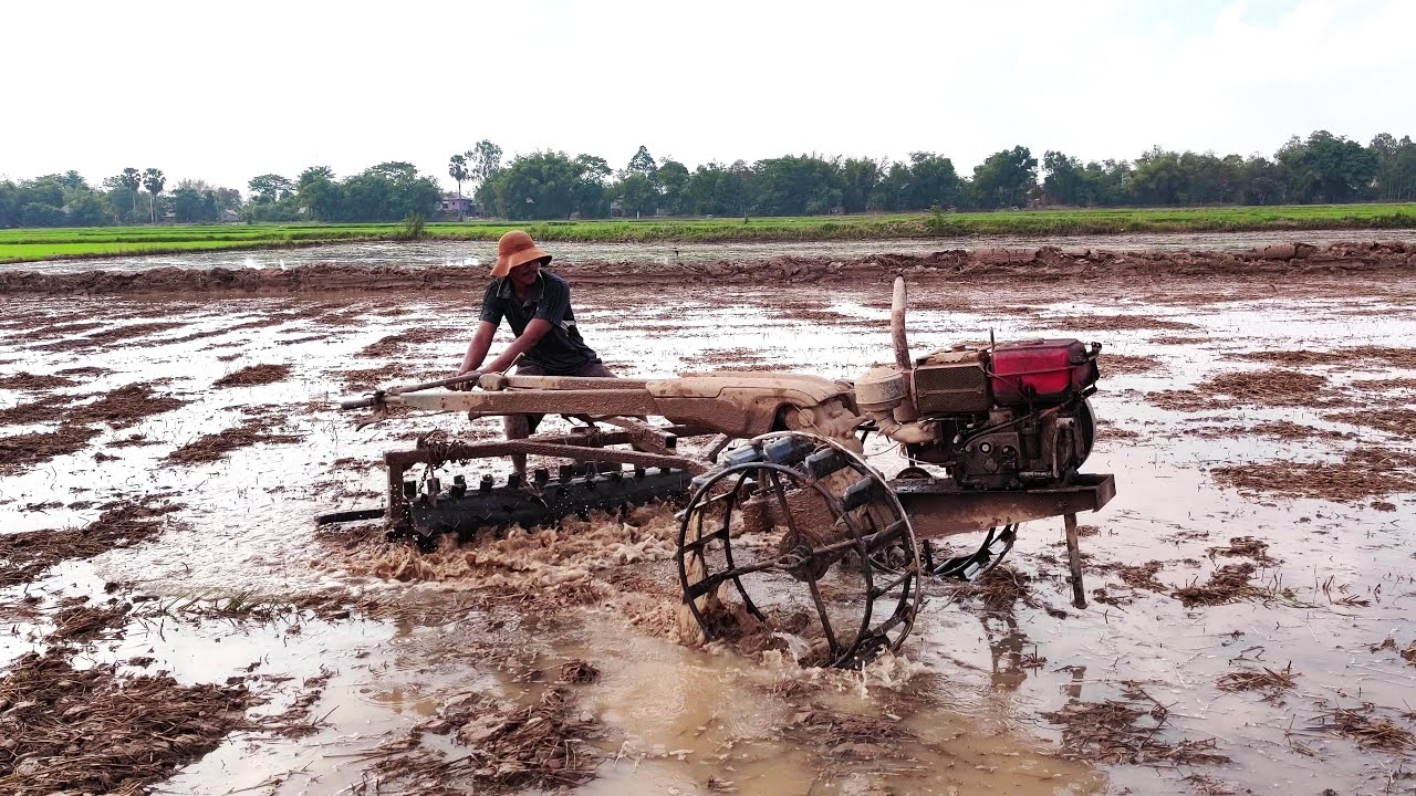 Farmer plowing in mud farm field for planting rice [ 4K HDR 10 Plus ...
