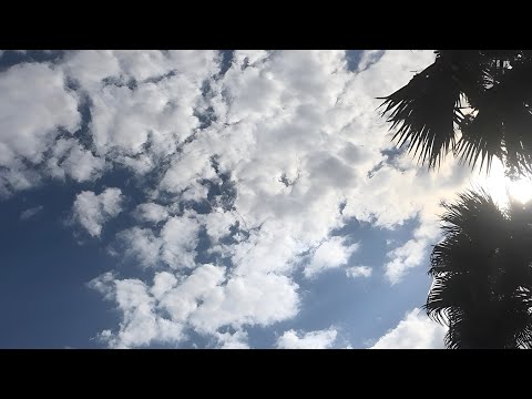 Sandino - Kumsal (Official Video)