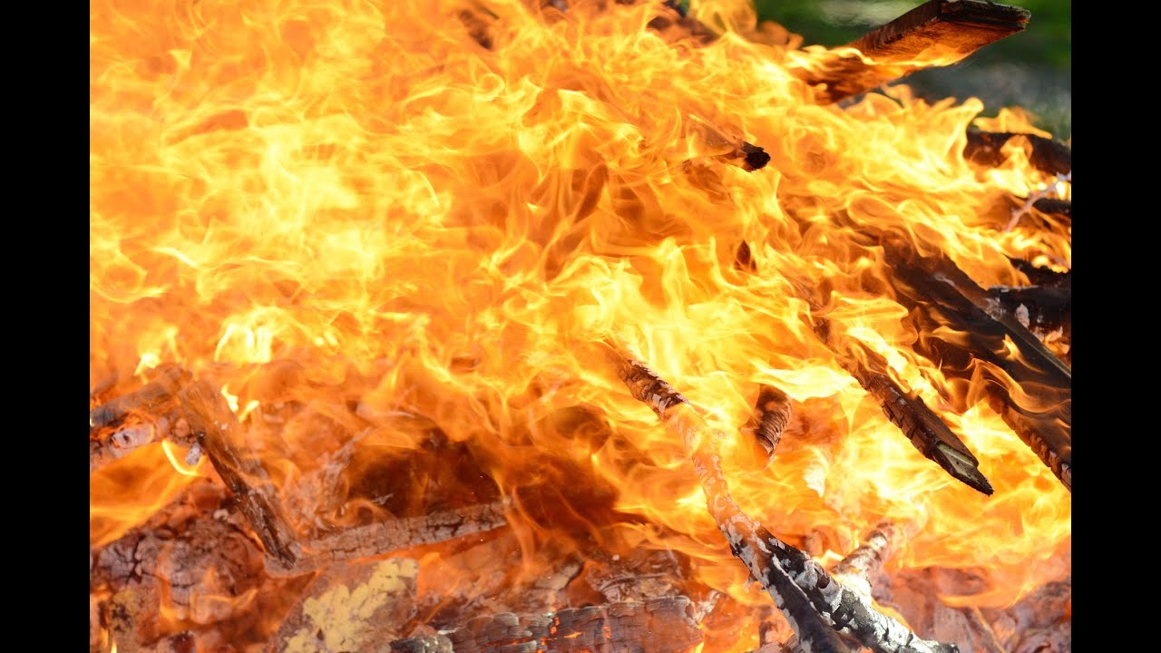 Crackling Campfire, Birdsongs- Jazz Music Night of Sleep and Relaxation ...