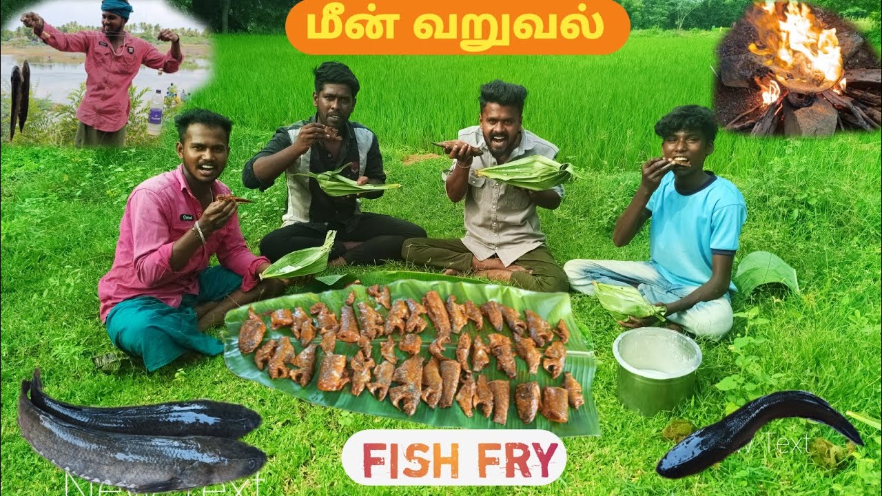FISH FRY | fish hunting and cooking | snakehead murrel fish | viral ...