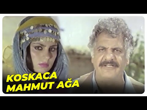 Erol Taş Bildiğimiz Gibi 😂 | Erol Taş