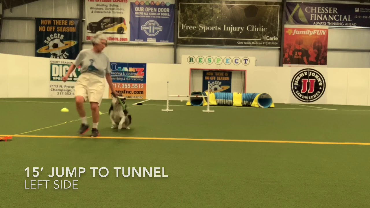 Teddy Extension #5 - 2nd Time - YouTube