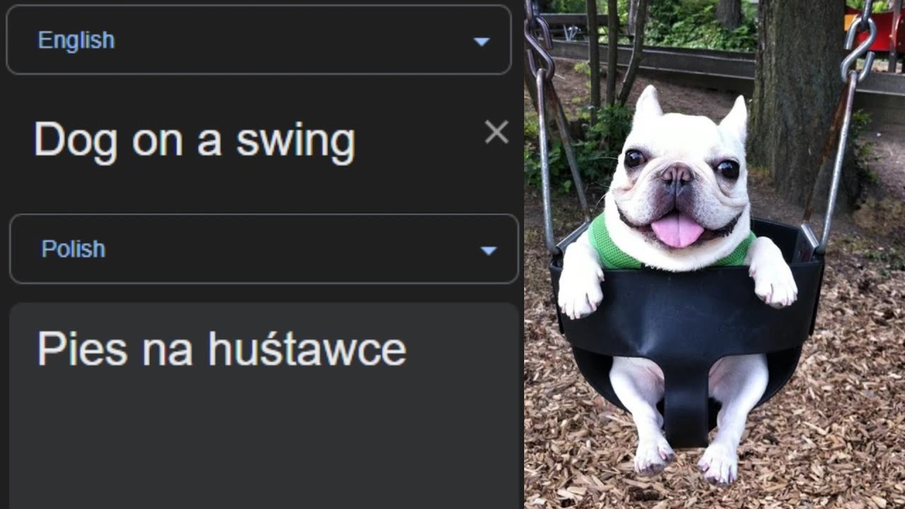 Dog on a swing in different languages meme - YouTube