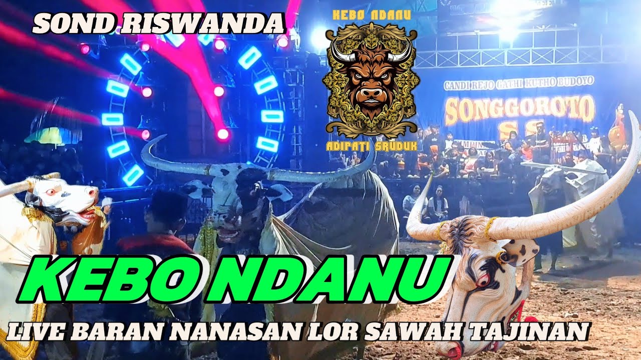 KEBO NDANU ADIPATI SRUDUK LIVE BARAN NANASAN LOR SAWAH MALANG - YouTube