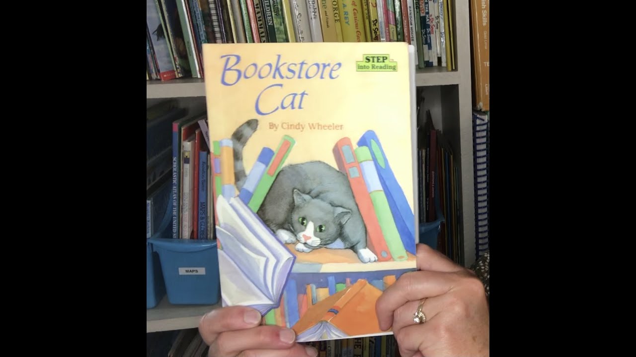 The Bookstore Cat (read aloud) - YouTube