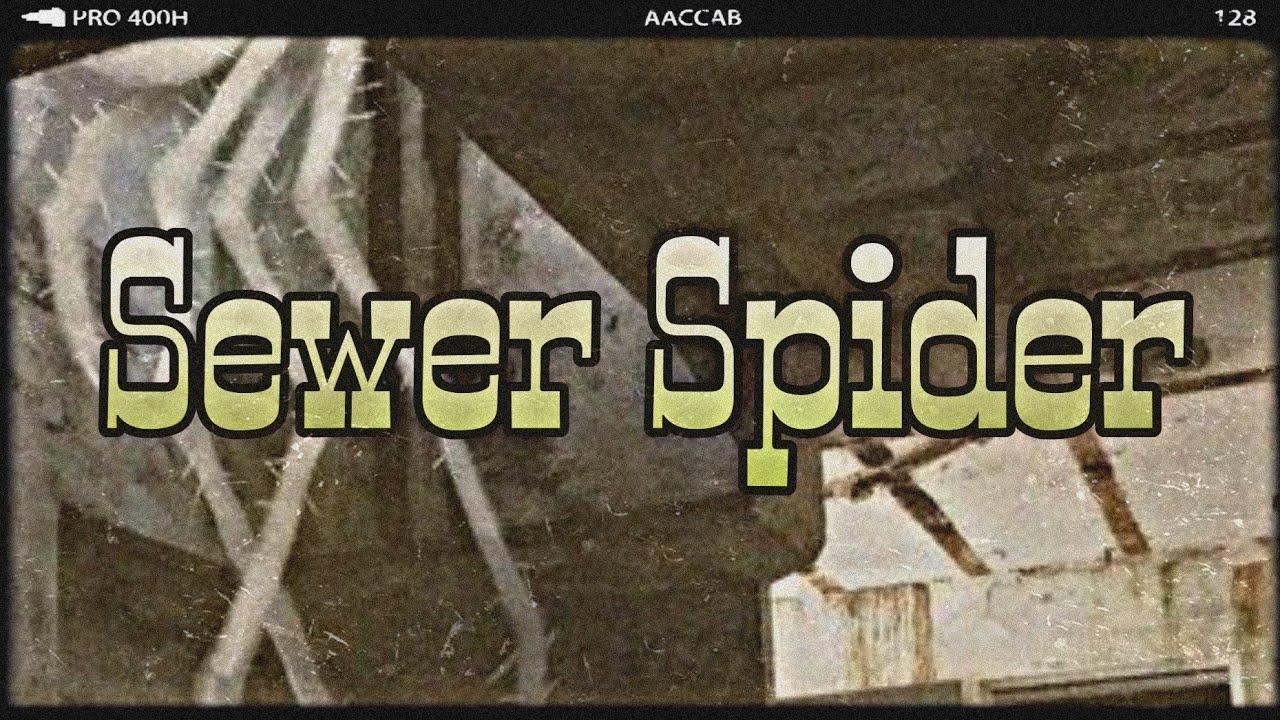 Sewer Spider ( Канализационные Паук). Trevor Henderson Universal. - YouTube