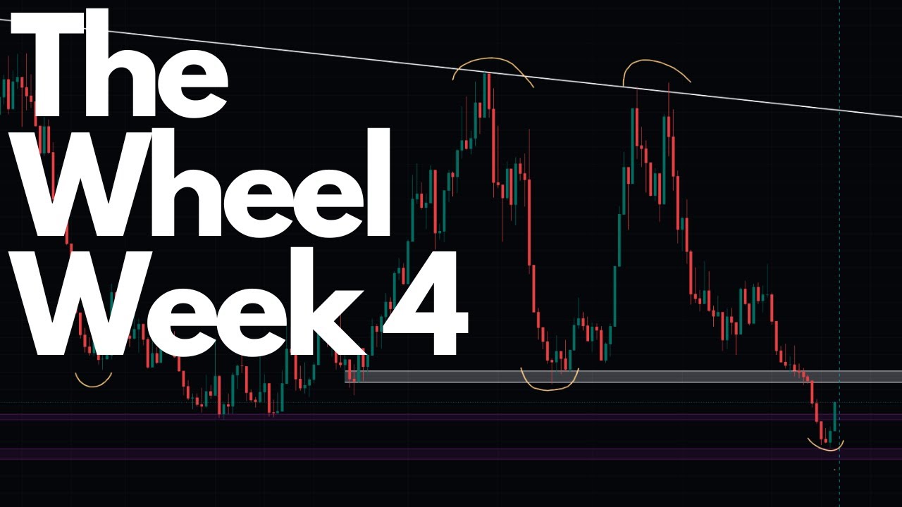 The Weekly Wheel: Week 4 - YouTube