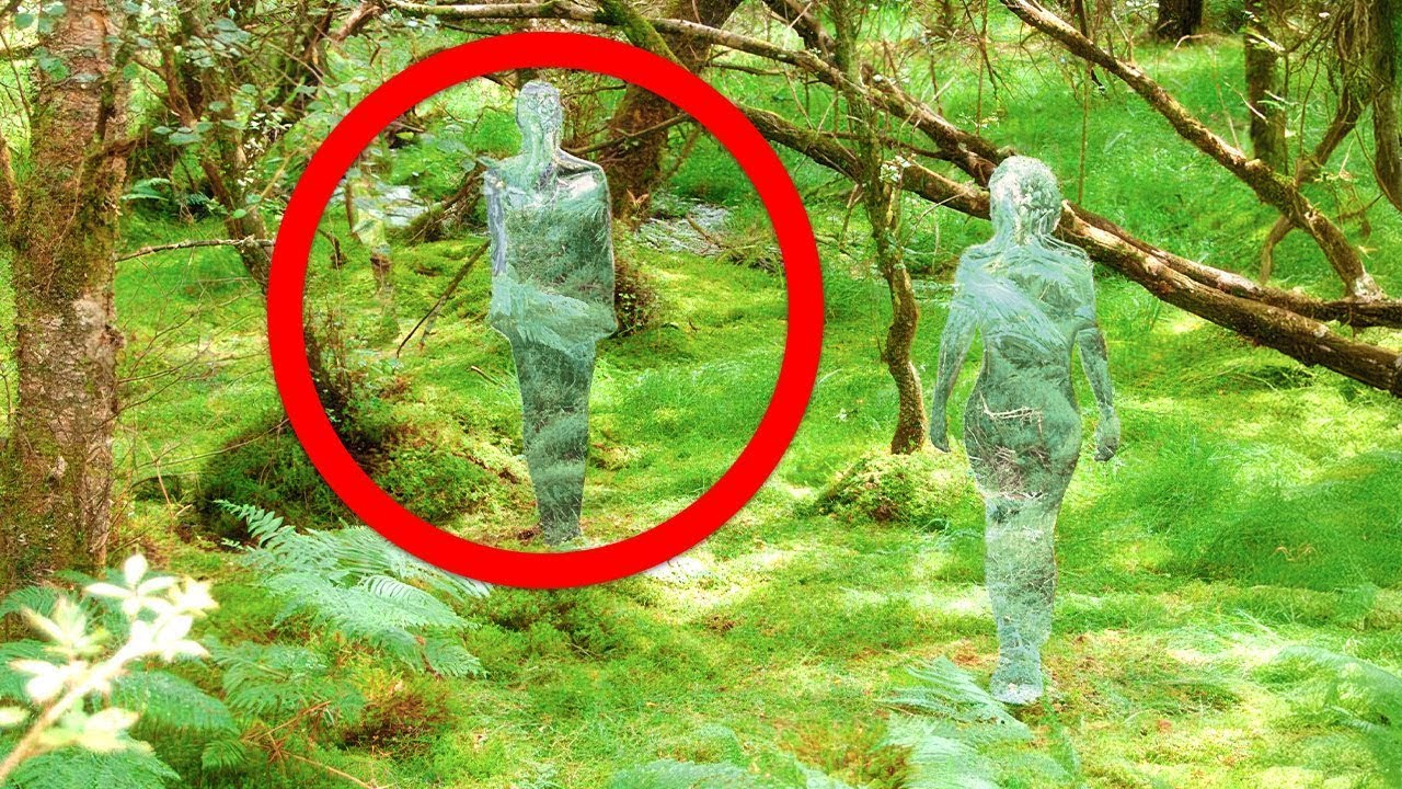 TERRIFYING Things Found In The Woods - YouTube