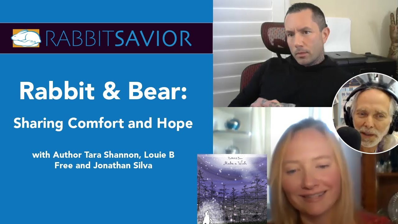 Rabbit & Bear: Sharing Comfort and Hope an Interview with Tara Shannon ...