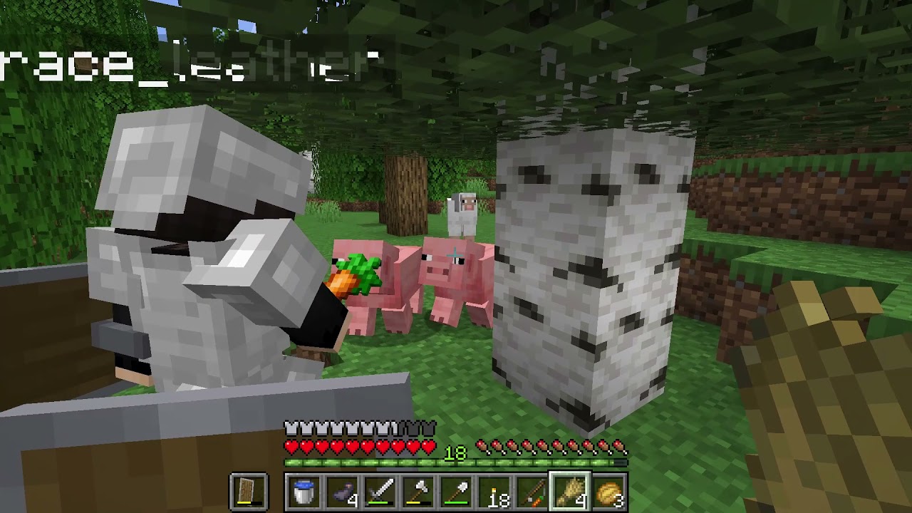 Minecraft Day 10 Rainbow Sheep Jeb_ Name Tag Moving Grass Down Our Cave ...